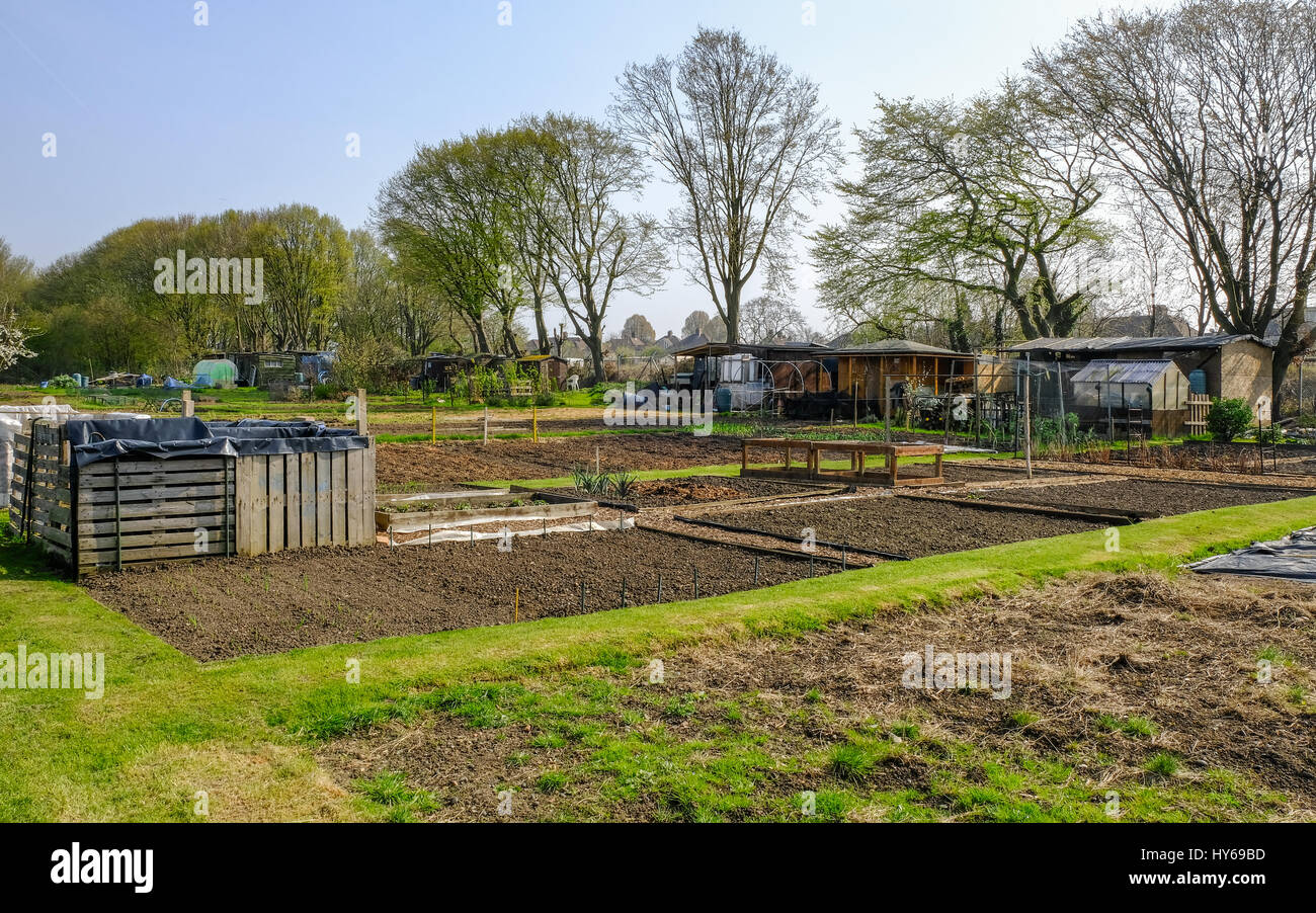 Allotment plot in Spring, prepared for planting. An allotment is a plot ...