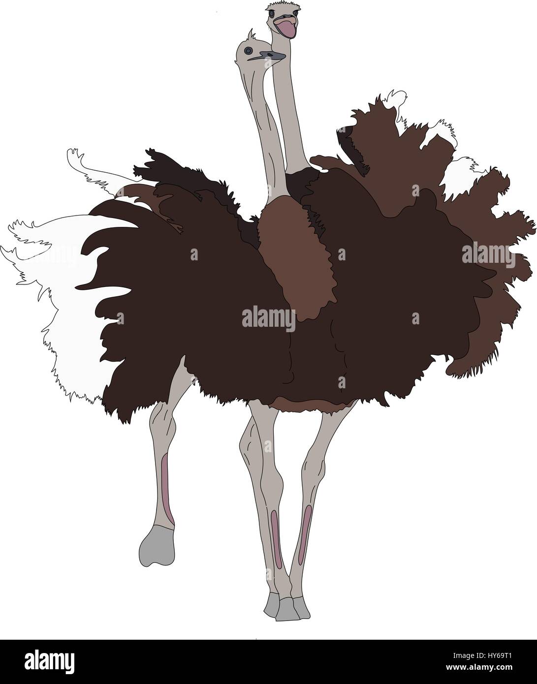 Wildlife fighting Stock Vector Images - Alamy