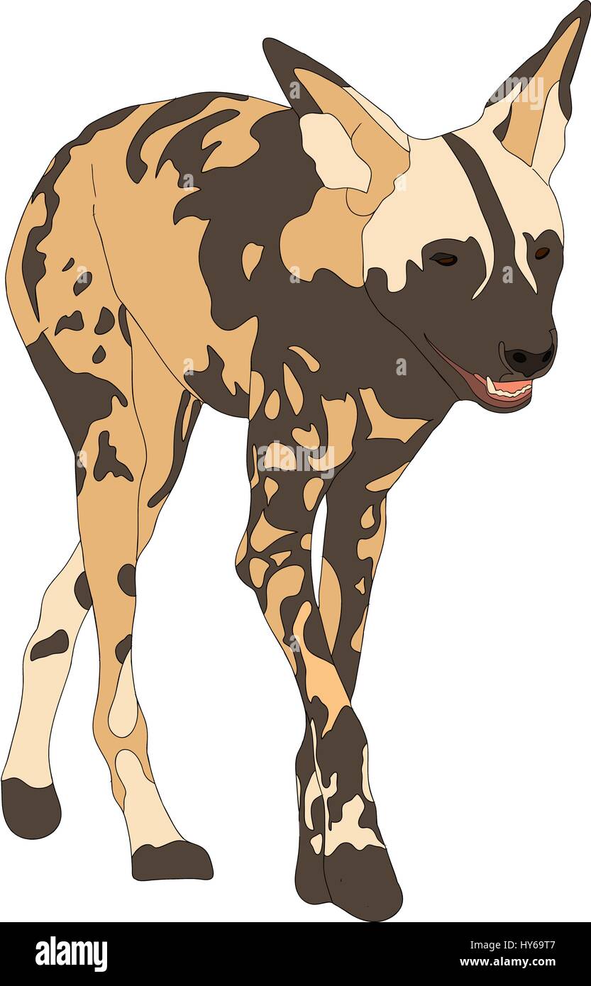 Botswana wild dogs Stock Vector Images - Alamy