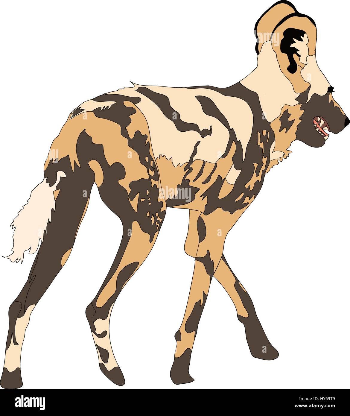 South africa wild dog Stock Vector Images - Alamy