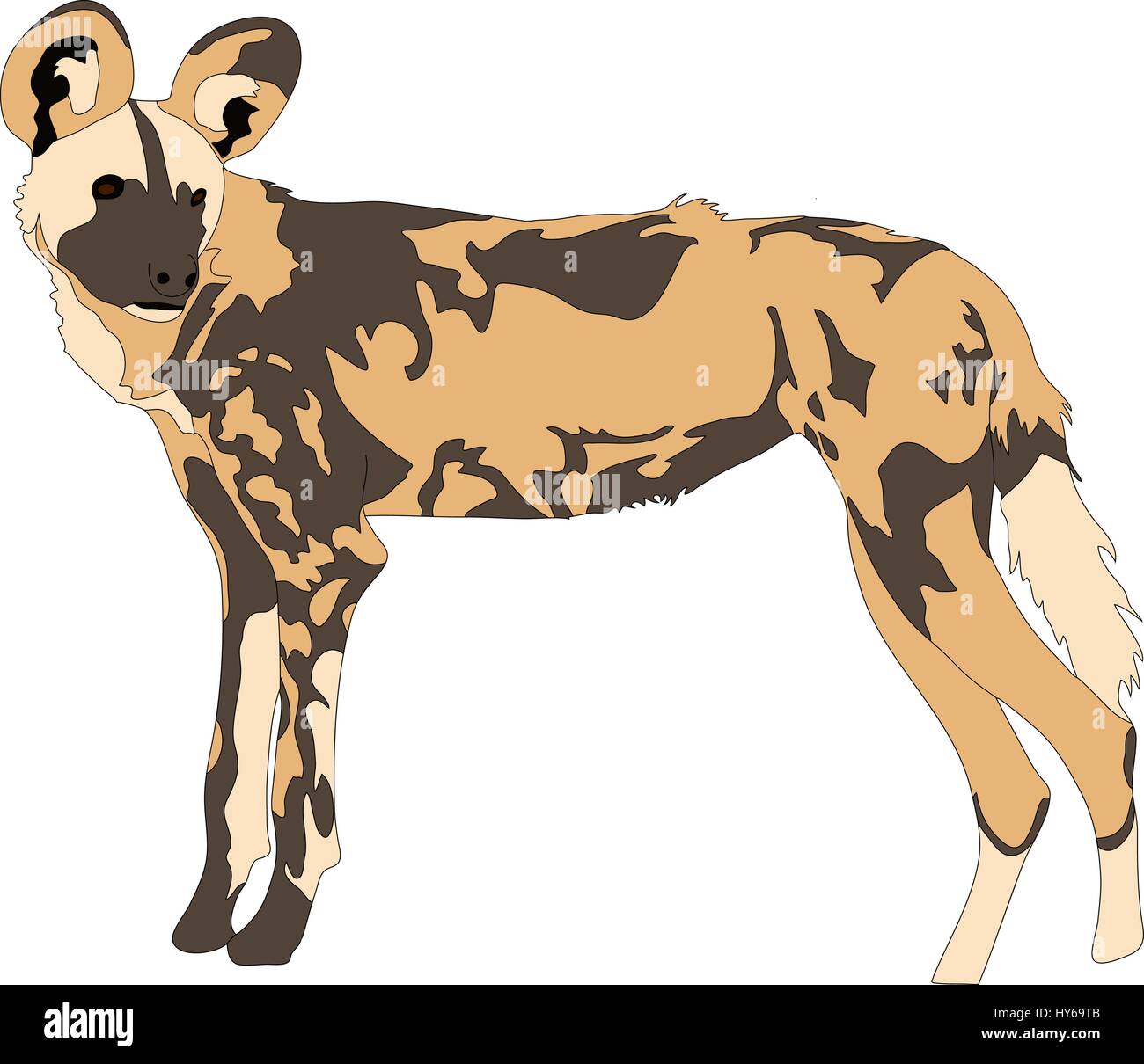 African wild dog Cut Out Stock Images & Pictures - Alamy