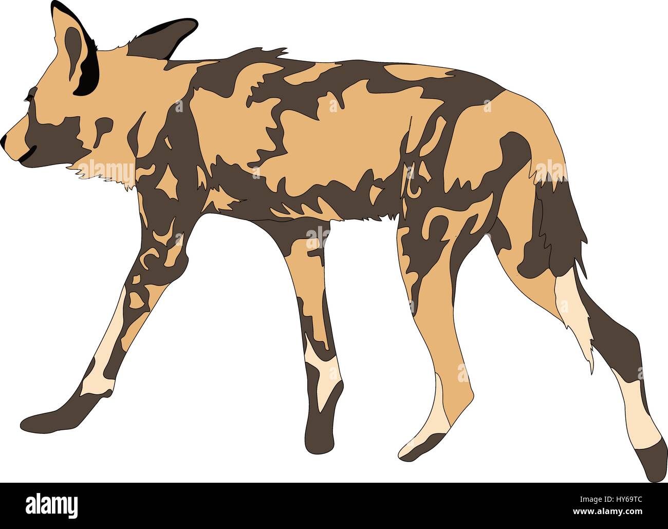 South african wild dog Stock Vector Images - Alamy