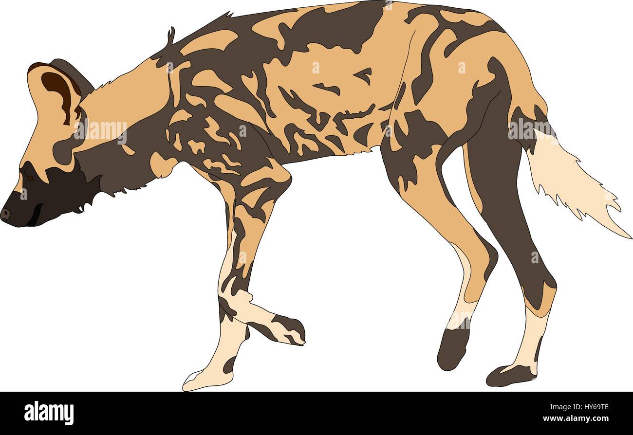 South african wild dogs Stock Vector Images - Alamy