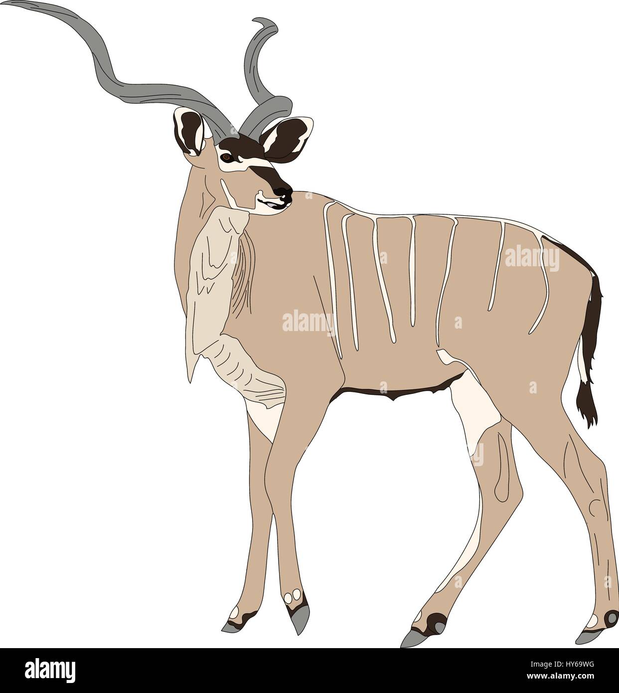 Greater kudu Stock Vector Images - Alamy