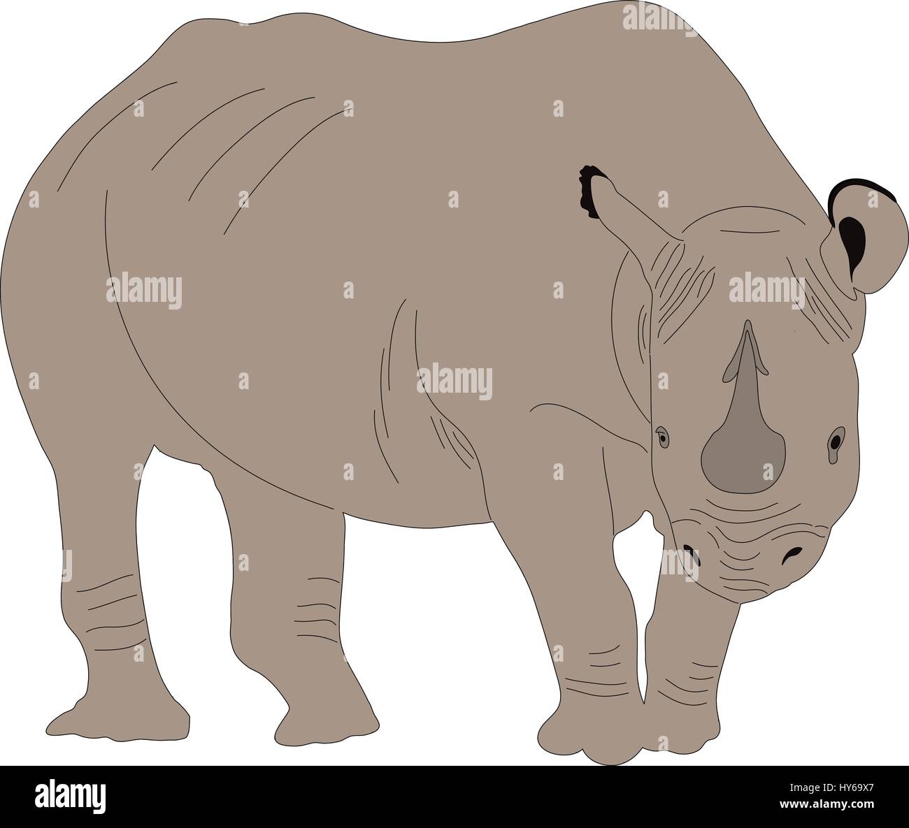 Wild rhinoceros portrait Stock Vector Images - Alamy