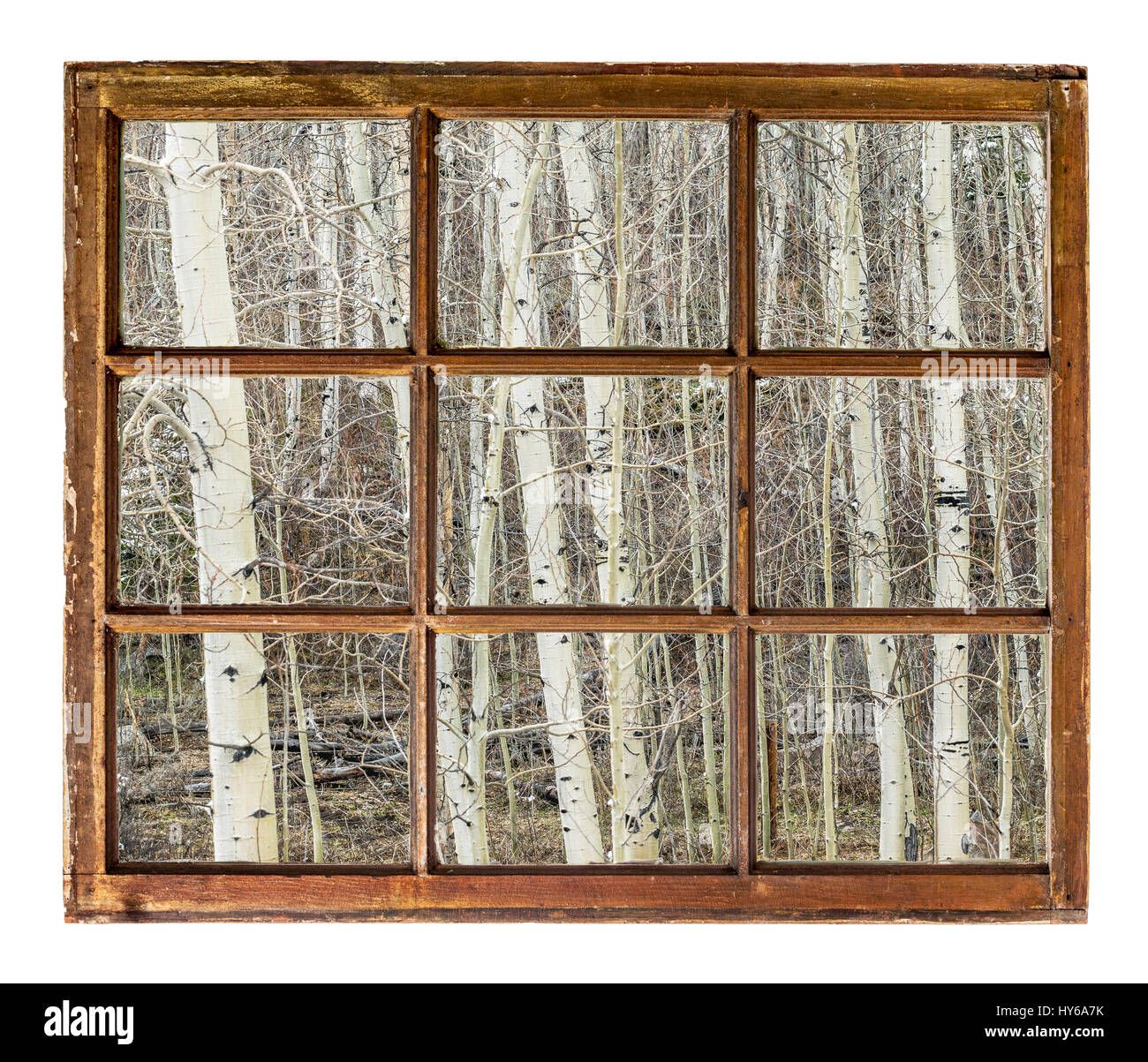 Aspen wood texture Cut Out Stock Images & Pictures - Alamy