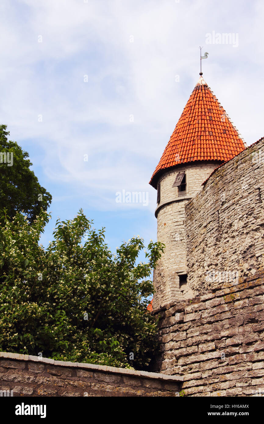 View of Towers of Tallinn castle in summer Stock Photo - Alamy