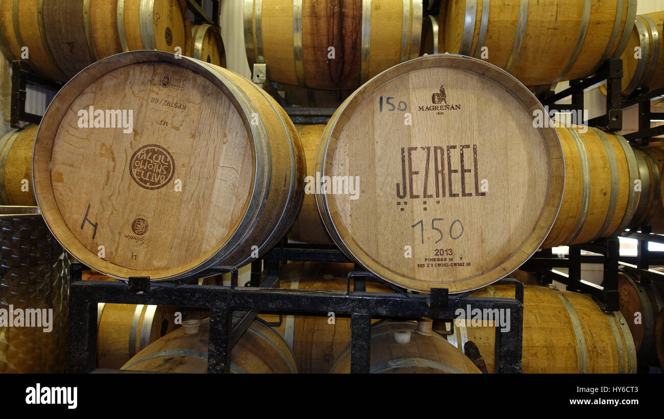 Jezreel winery Lower Galilee Israel Stock Photo - Alamy