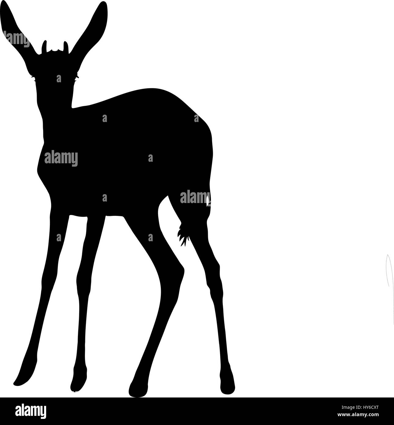 Silhouette standing springbok antelope hi-res stock photography and ...