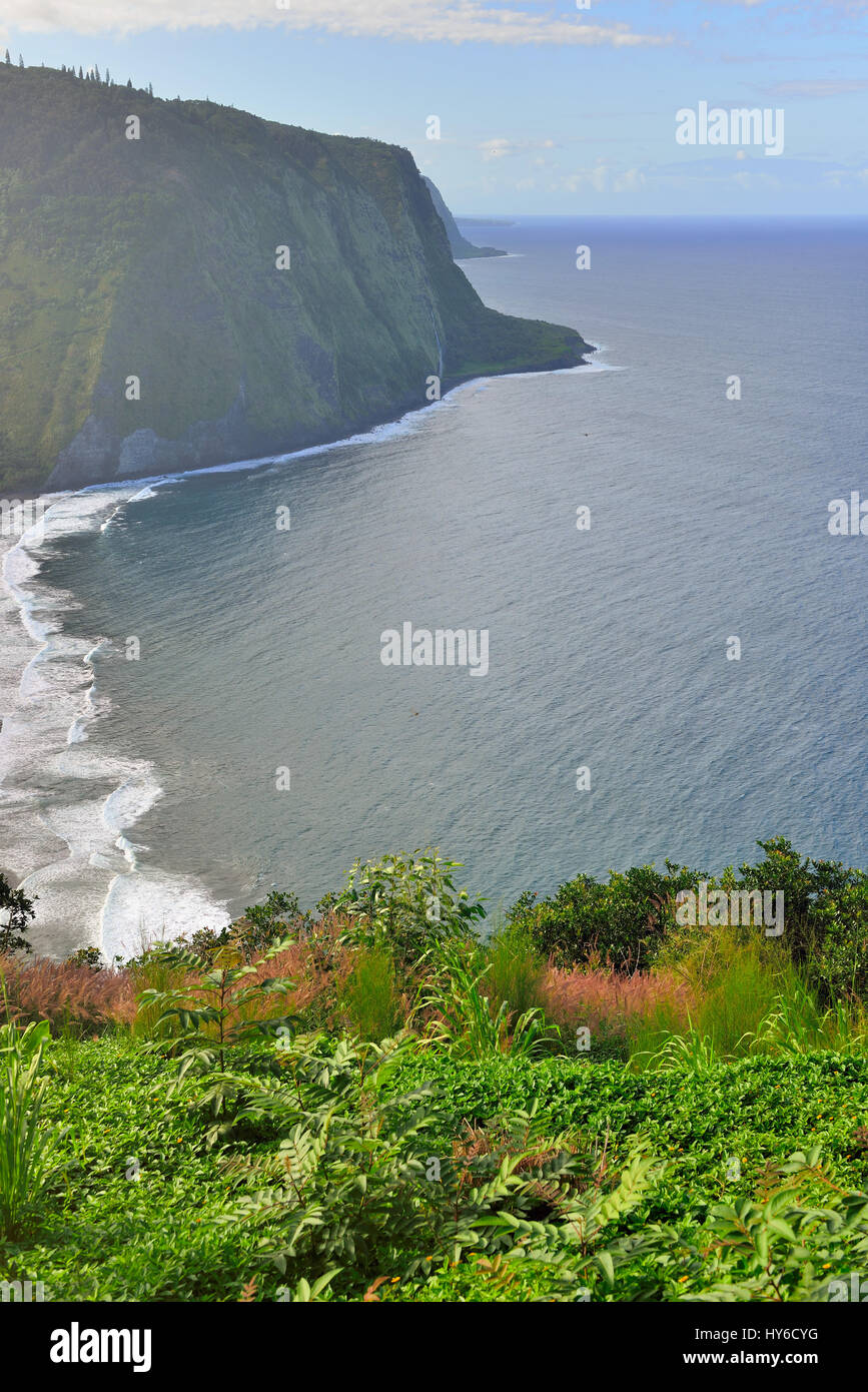 Waipio Valley Lookout in the Big Island of Hawaii USA Stock Photo - Alamy