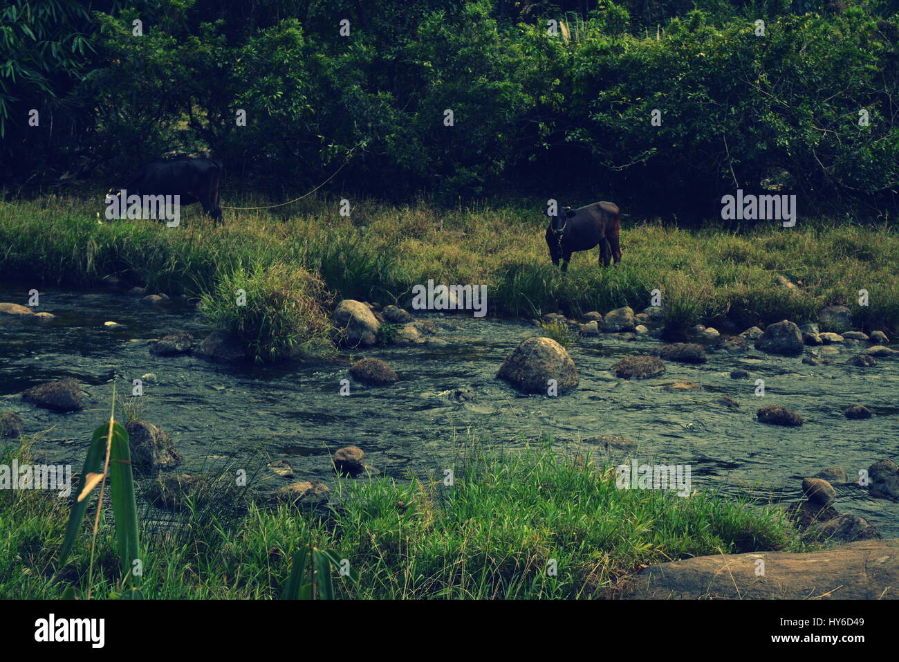 Lanscape with water hi-res stock photography and images - Alamy