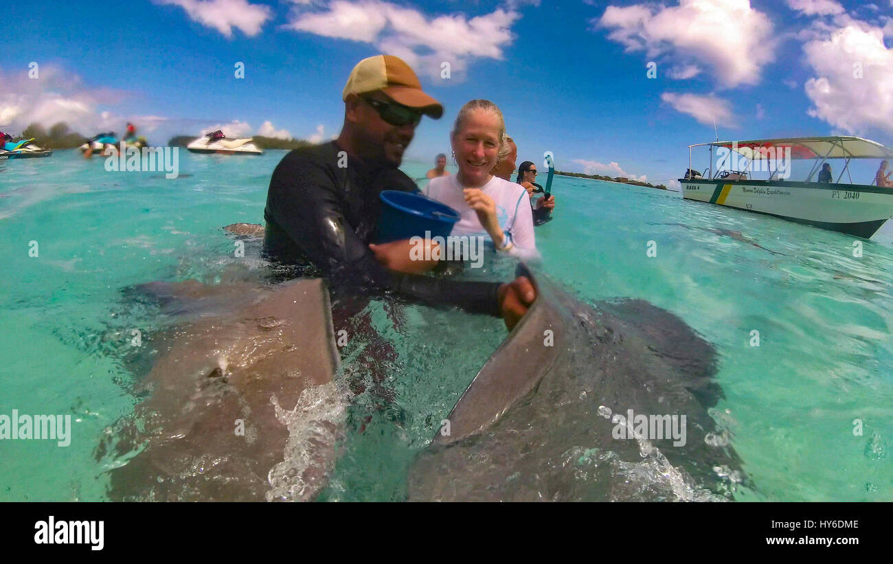 Swimming with sharks moorea hi-res stock photography and images - Alamy