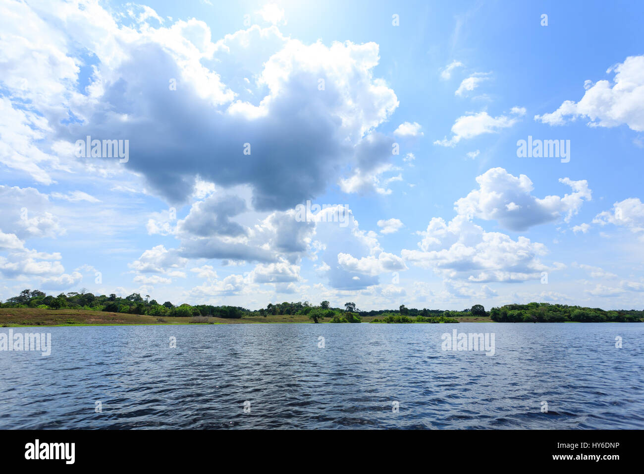 Amazon Rainforest Landmarks at Jasmine Satterwhite blog