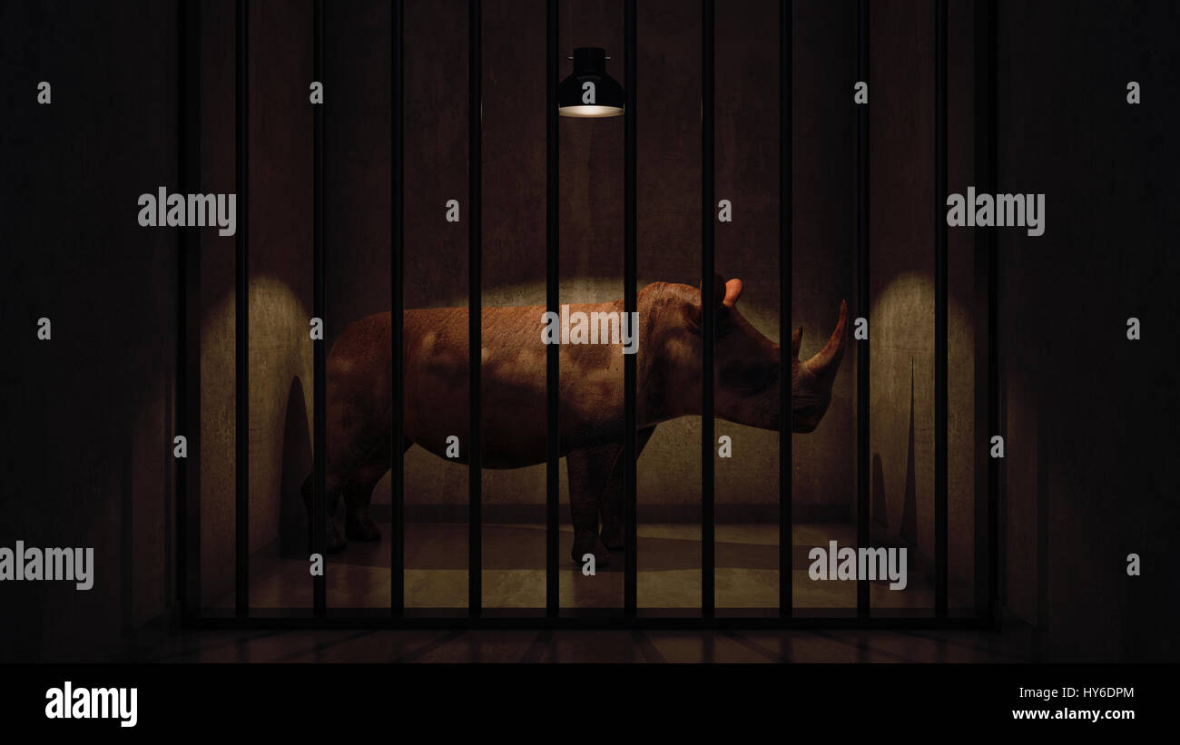 Rhino in steel cage. 3d rendering Stock Photo - Alamy