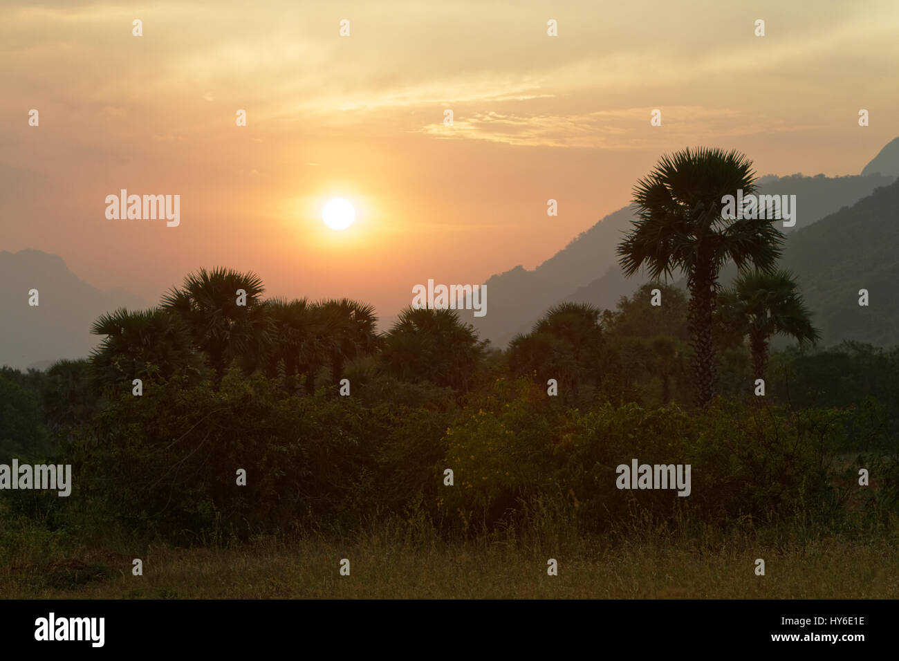 Coimbatore hi-res stock photography and images - Alamy