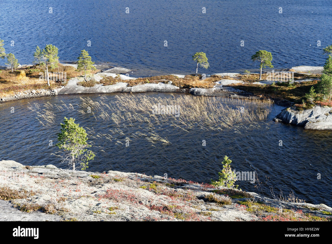 Growing in norway hi-res stock photography and images - Alamy