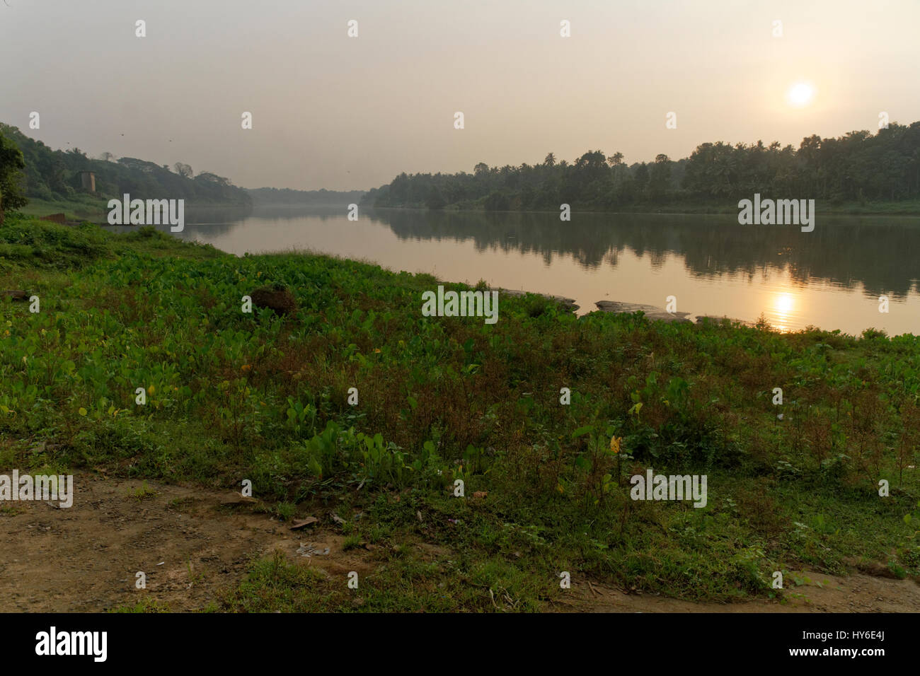 Evening river view in Kerala, India Stock Photo - Alamy