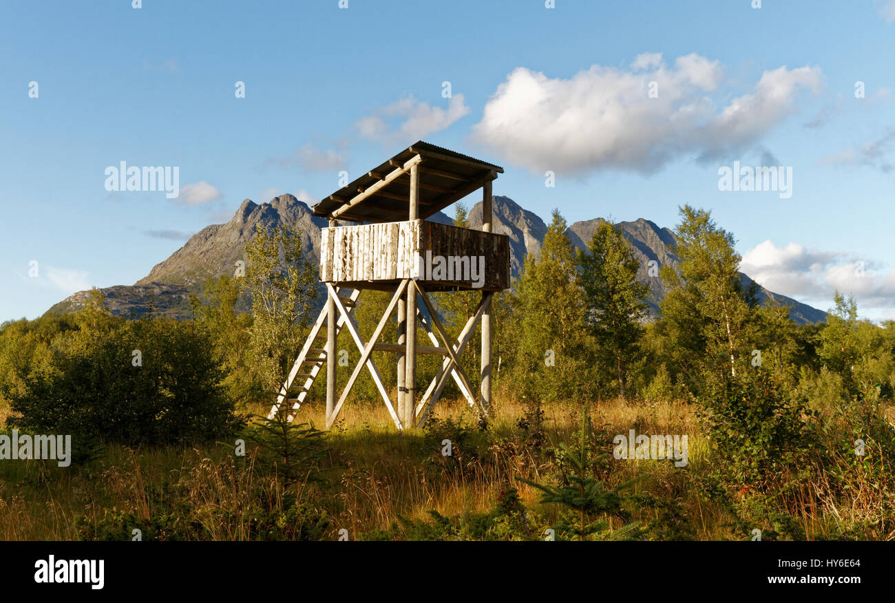 Bodo hunting hi-res stock photography and images - Alamy