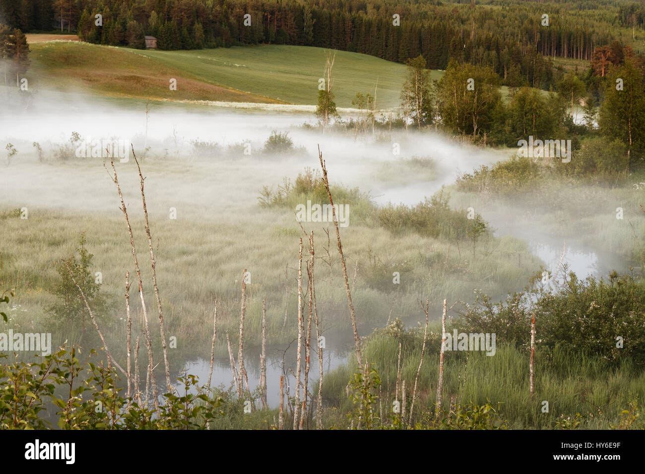 Foggy landscape in Ångermanland, Sweden Stock Photo - Alamy