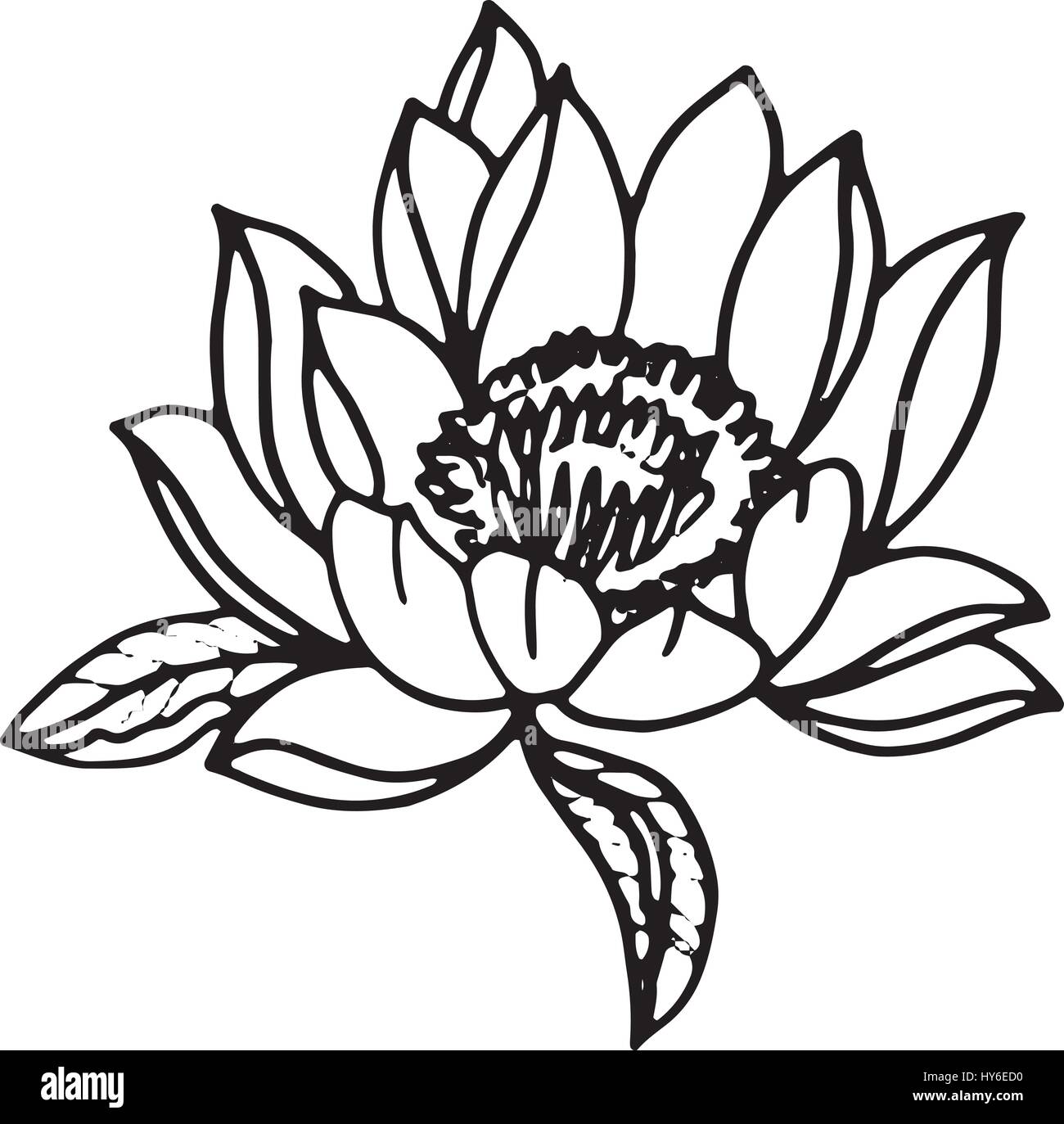 Vector Traditional Americana tattoo art by jason freeman Stock Vector ...