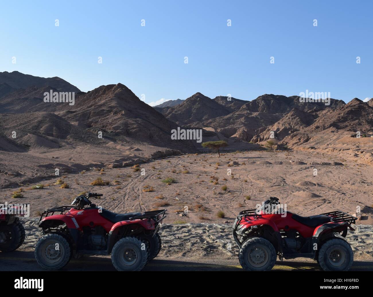 Sand buggy egypt hi-res stock photography and images - Alamy