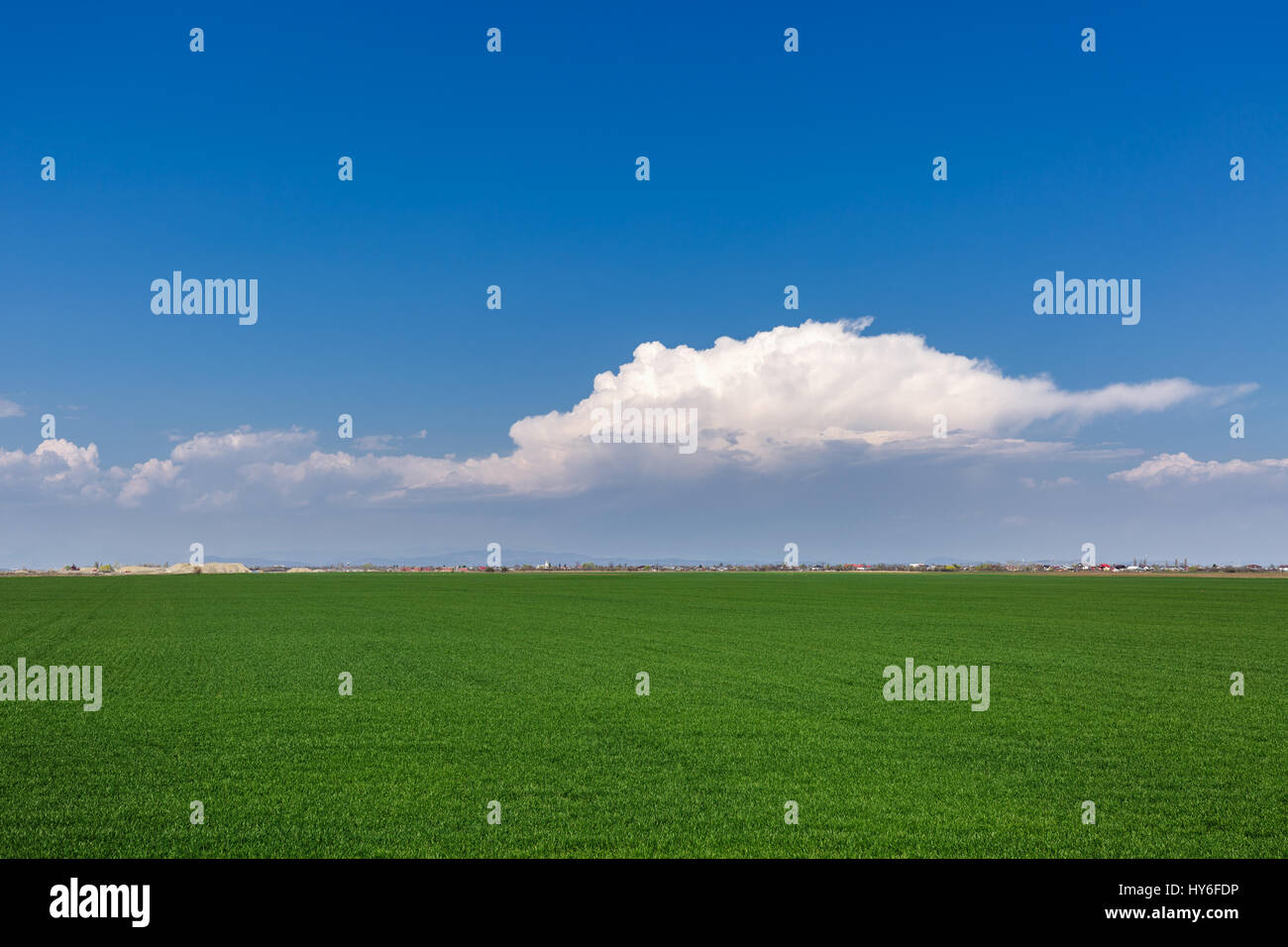 Landscape of a huge grass field with clouds and sky above Stock Photo ...