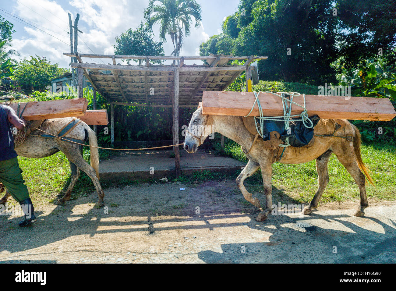 Street scenes from Baracoa, Cuba, malecon, markets, and people Stock ...