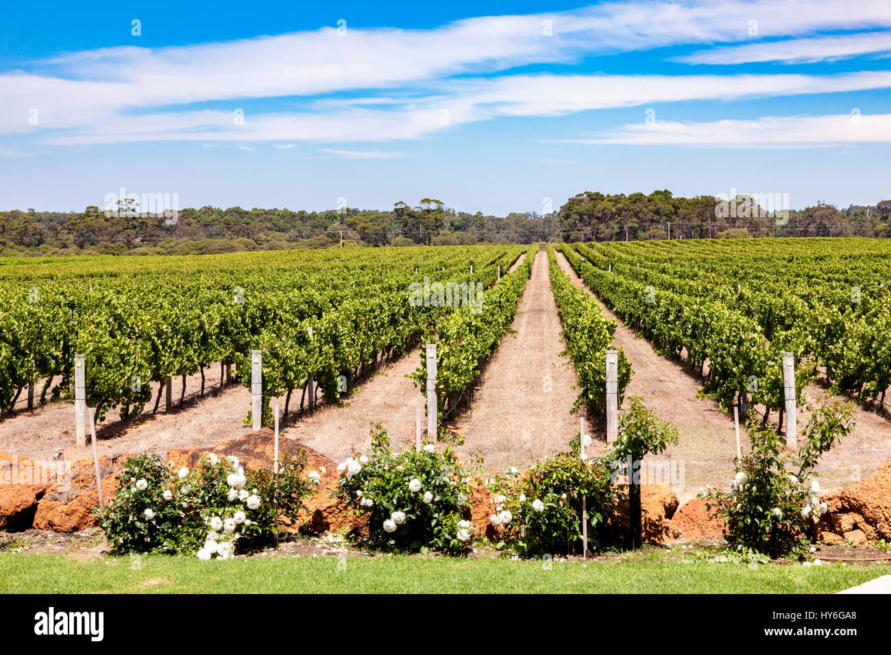 Margaret river australian wine region hi-res stock photography and ...