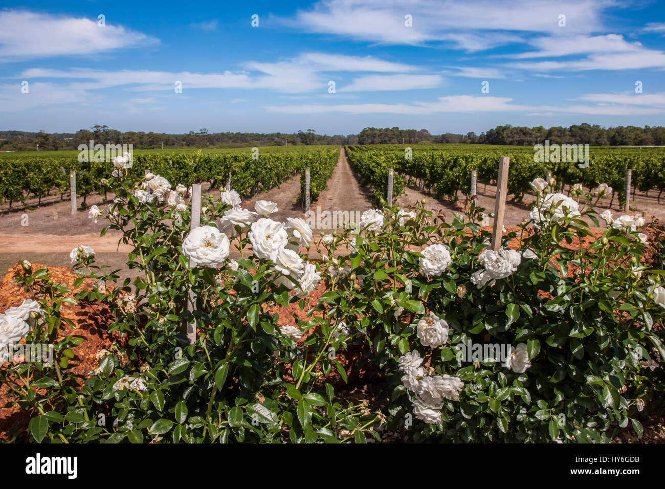 Margaret river area hi-res stock photography and images - Alamy