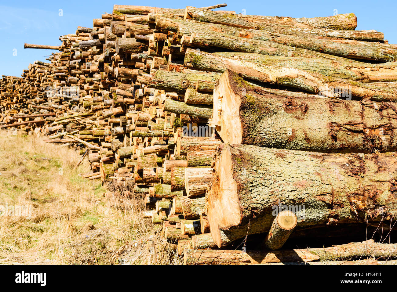 Stack of timber on a grass slope. This timber will most likely be used ...