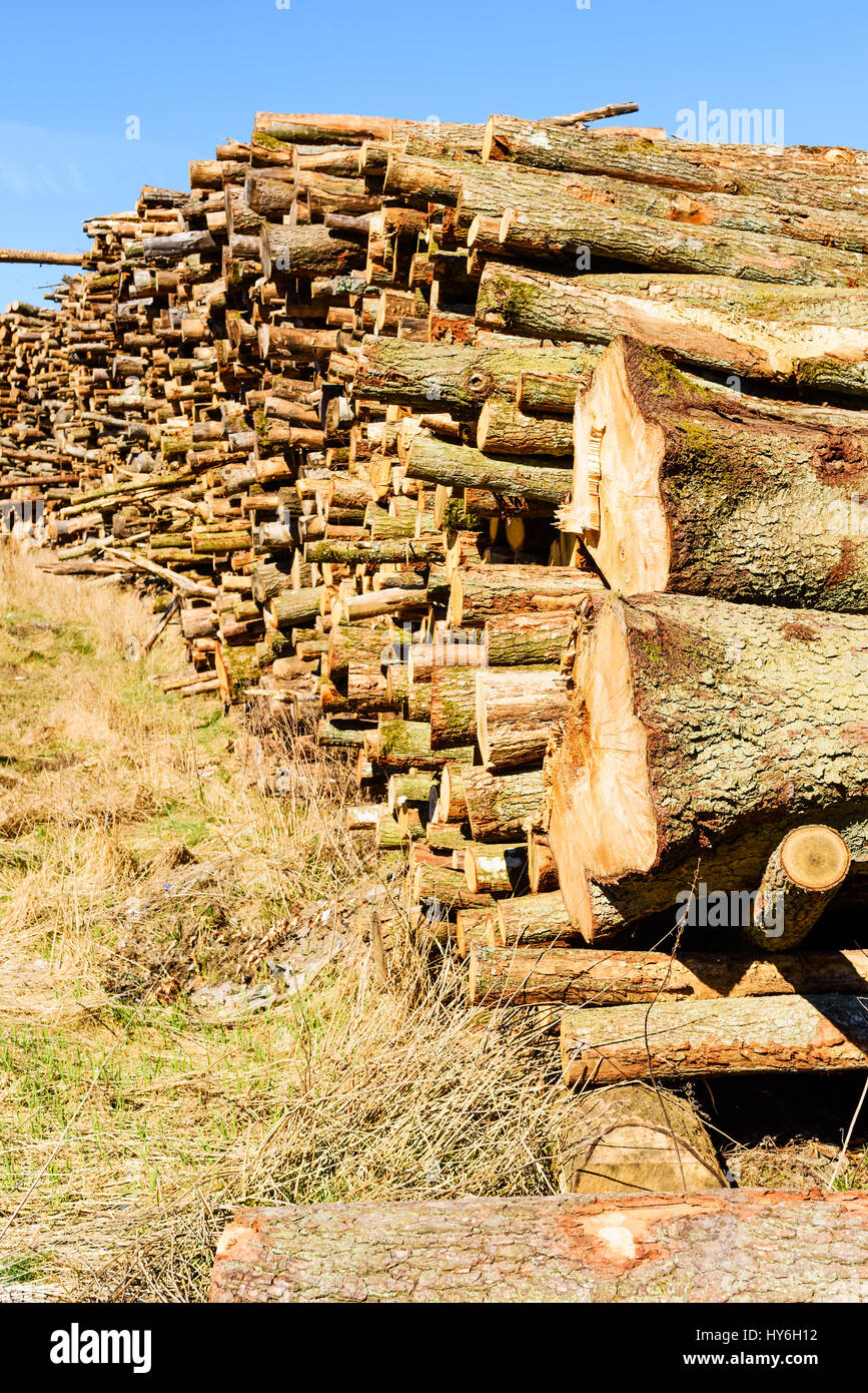 Sustainable timber used hi-res stock photography and images - Alamy