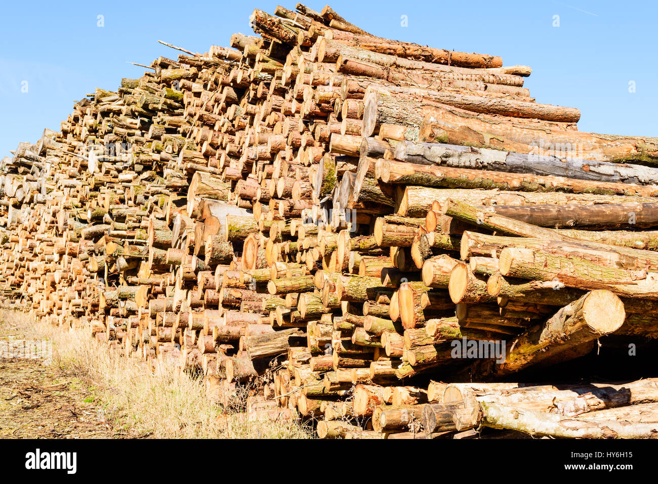 Sustainable timber used hi-res stock photography and images - Alamy
