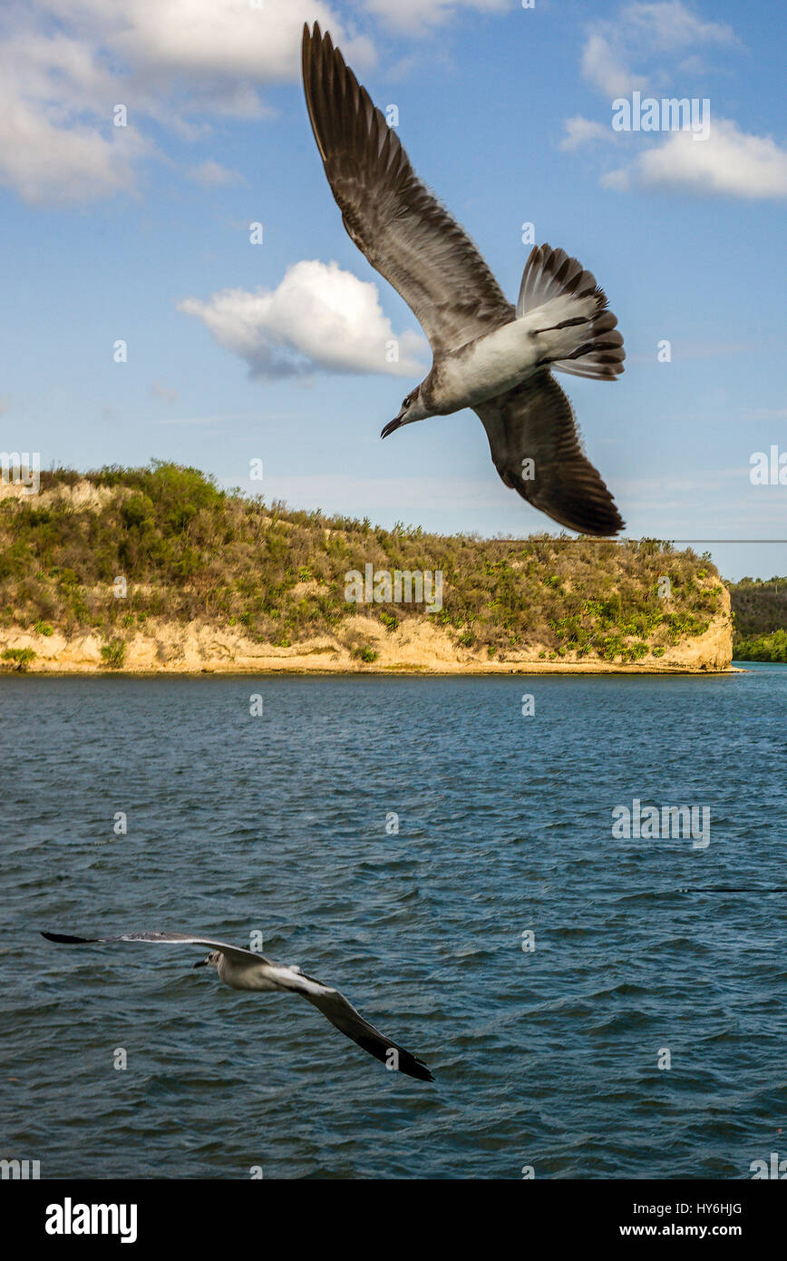 Granma landing hi-res stock photography and images - Alamy