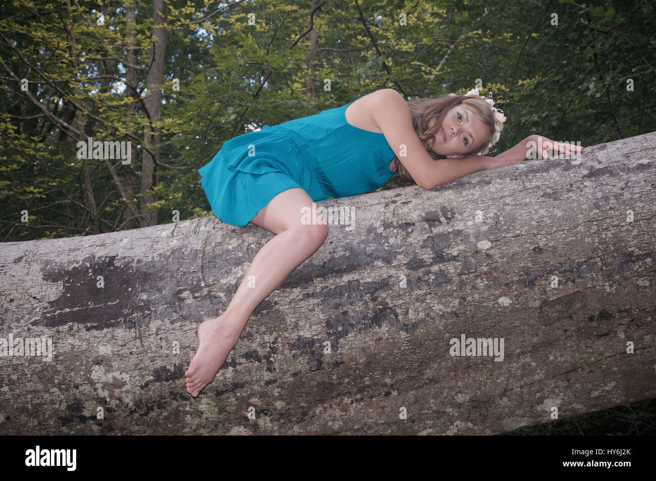 Beautiful young woman in the forest on a big tree Stock Photo - Alamy