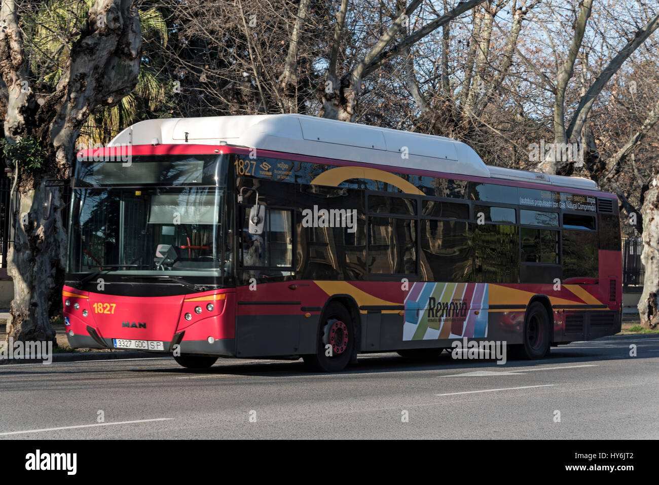 A local Seville bus in service in Seville, Spain Stock Photo - Alamy