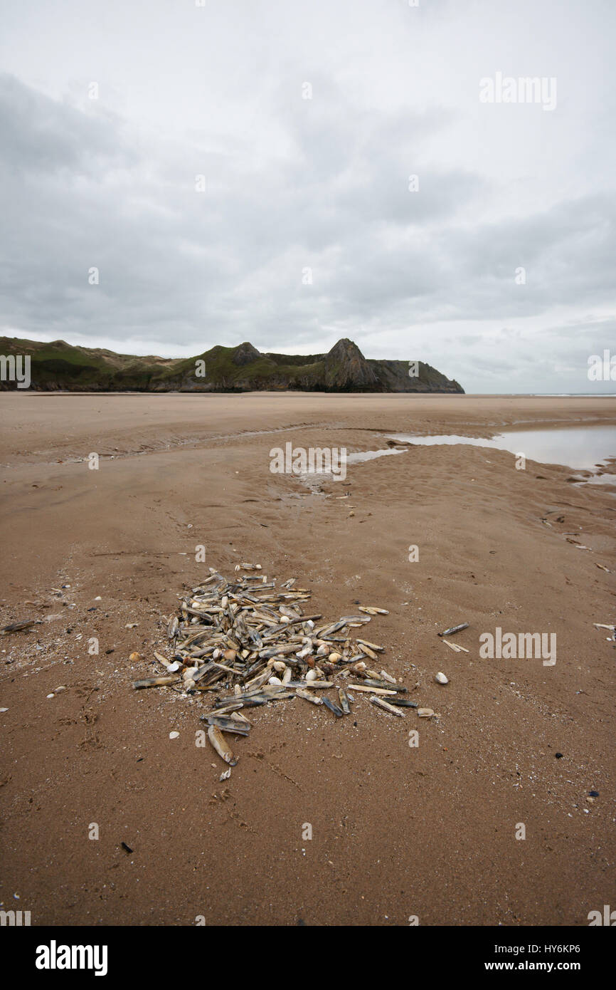 Three cliffs bay Stock Photo - Alamy