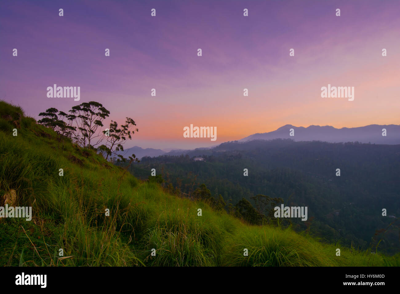 Nature photographer adams hi-res stock photography and images - Alamy