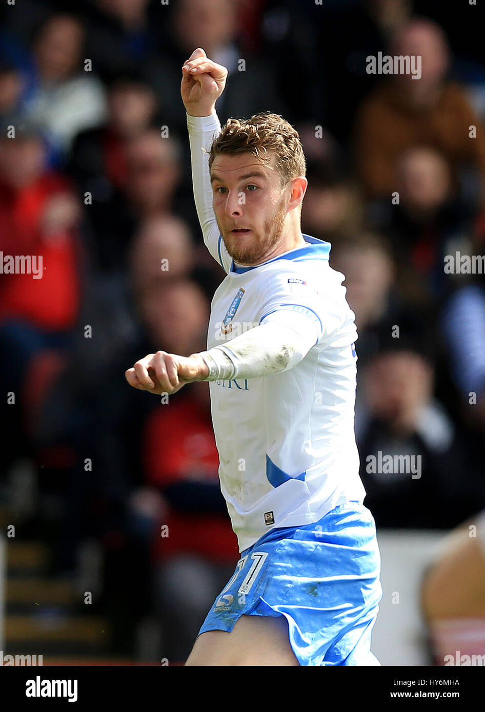 Sheffield Wednesday's Sam Winnall celebrates after he scores his sides ...