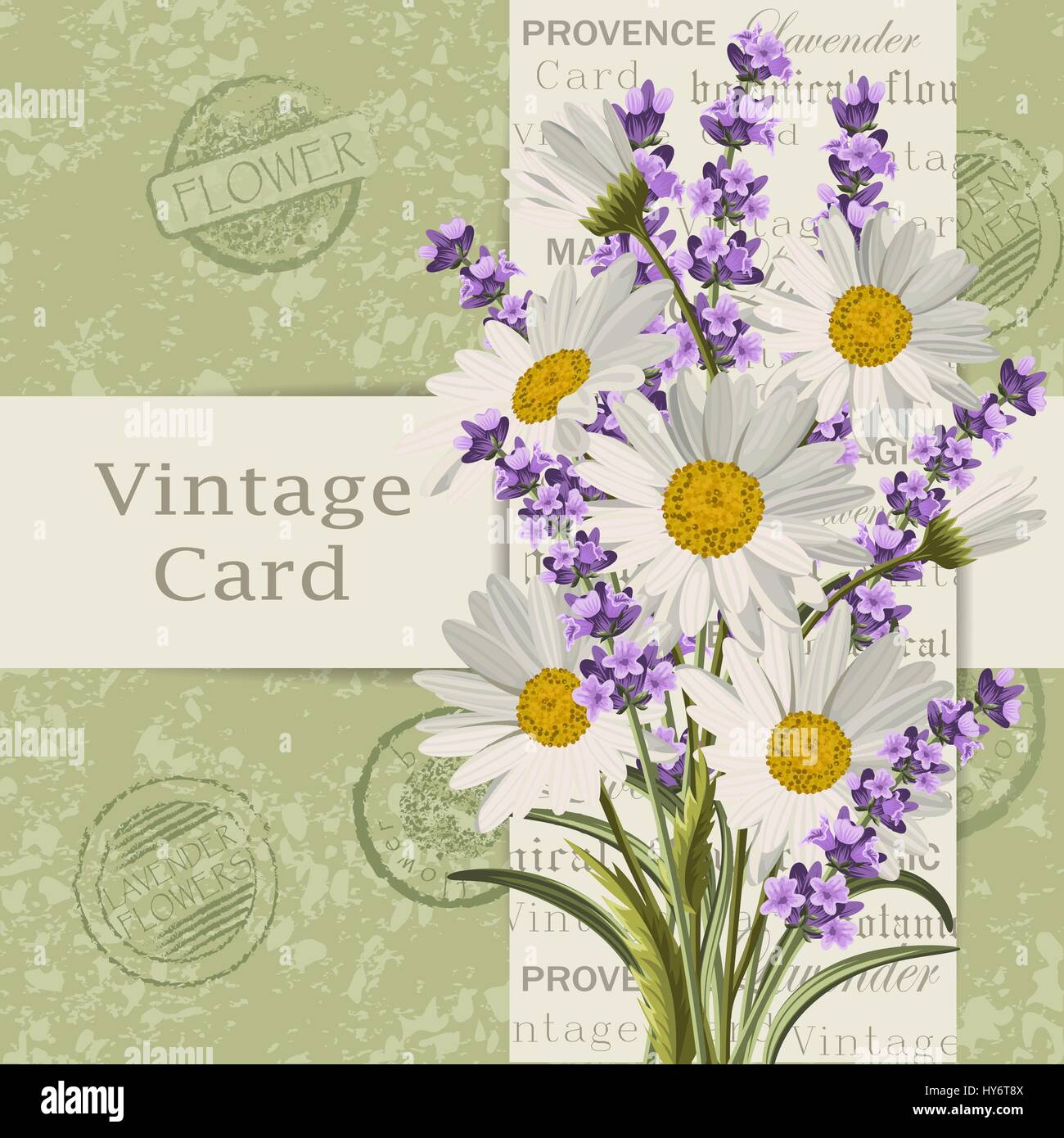 Lavender field purple flowers beautiful Stock Vector Images - Alamy