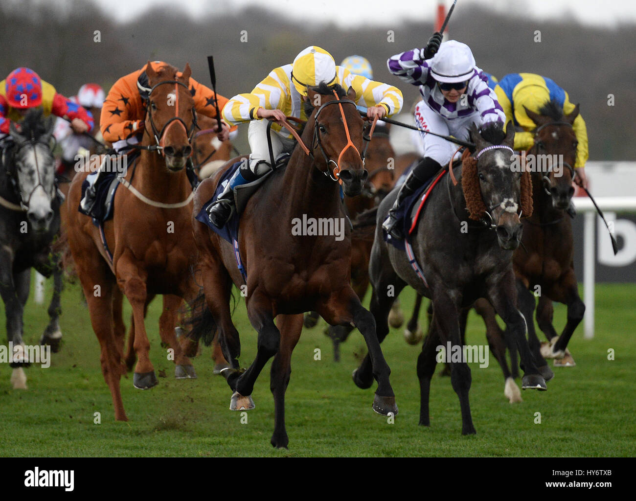 Boycie ridden by Tina Smith (centre) wins the Betway Apprentice ...