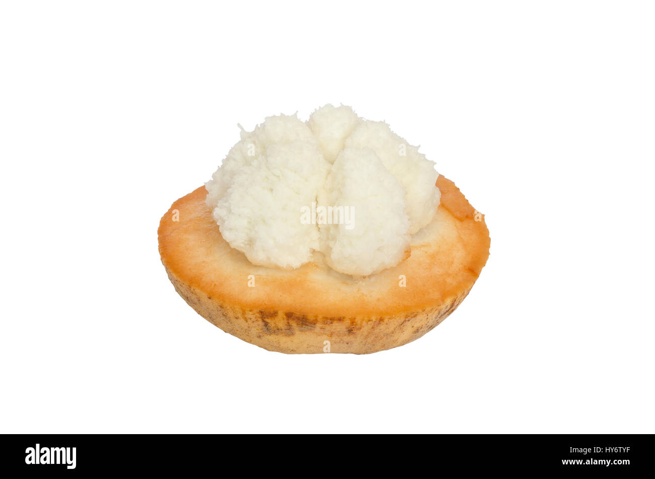 Santol fruit sweet taste hi-res stock photography and images - Alamy