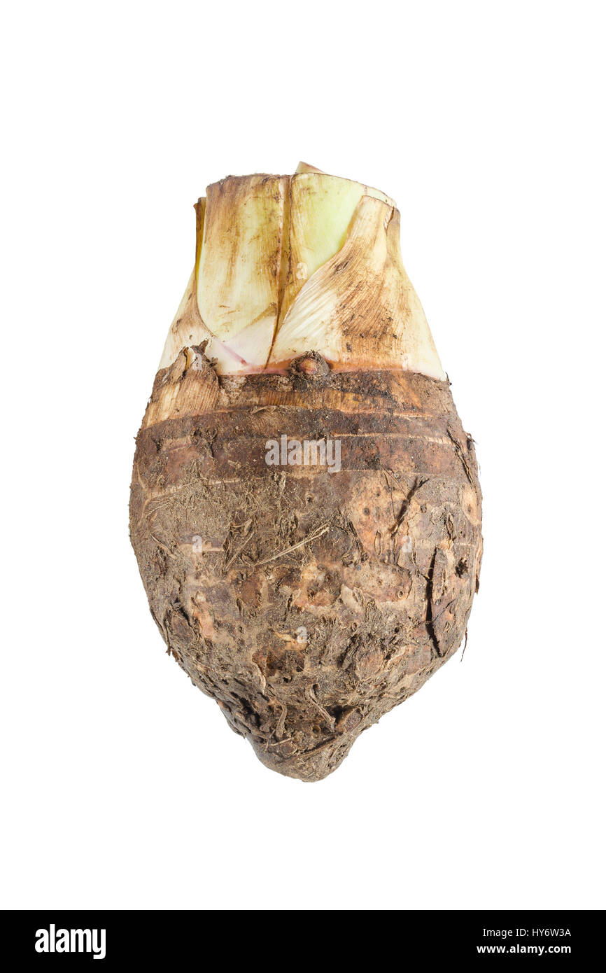 Corm of taro hi-res stock photography and images - Alamy