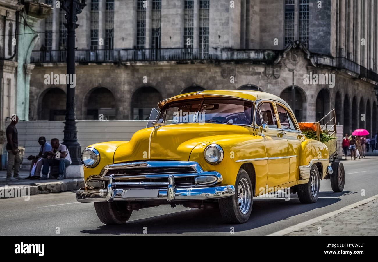 American vintage cars drive in Havana Cuba - Serie Cuba Reportage Stock ...