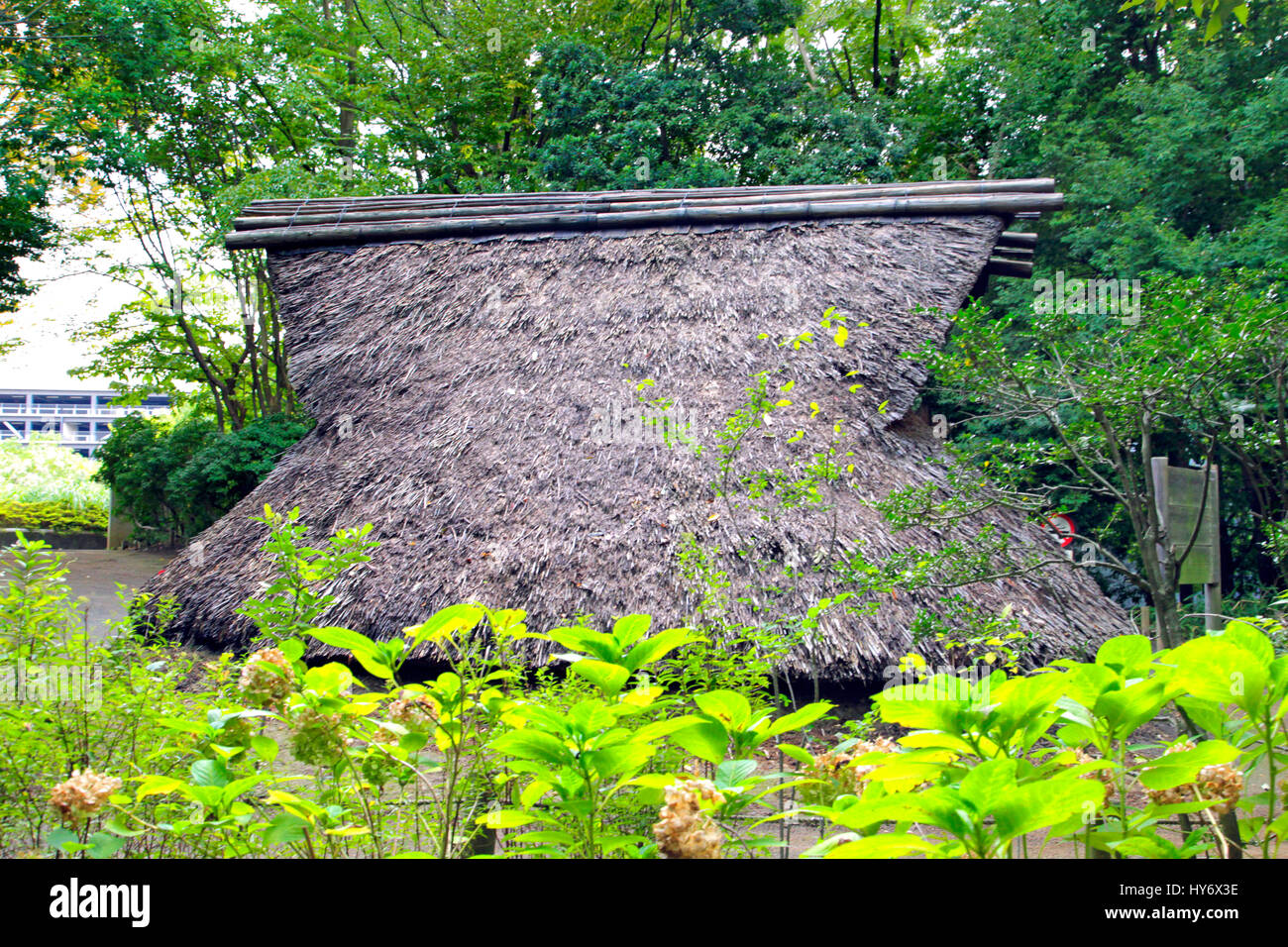 Jomon pit house hi-res stock photography and images - Alamy