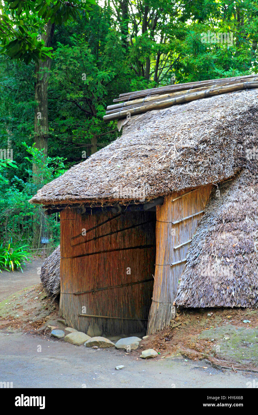 Jomon era architecture hi-res stock photography and images - Alamy