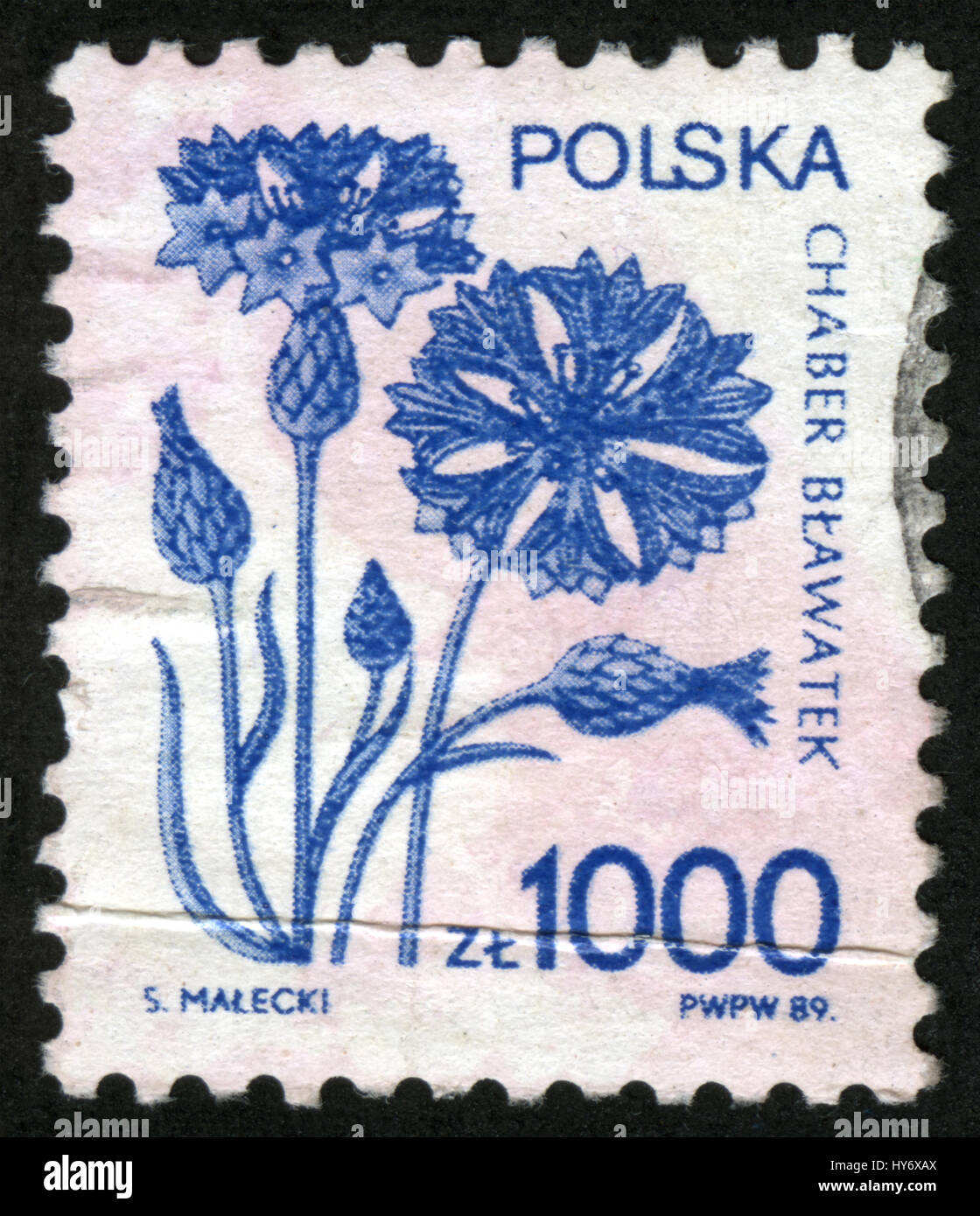 Flora and philately hi-res stock photography and images - Alamy