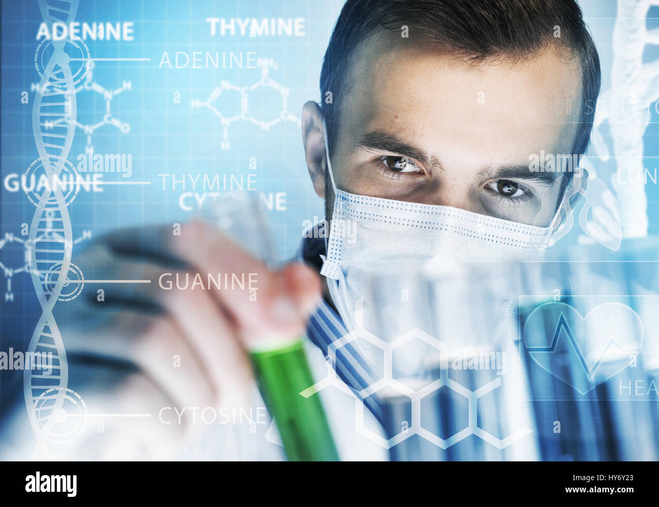 Portrait of concentrated male scientist working with reagents in laboratory Stock Photo - Alamy