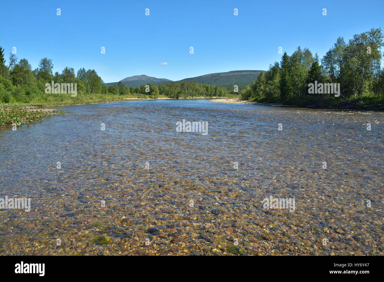 Summer river landscape in the Northern national Park. Virgin Komi ...
