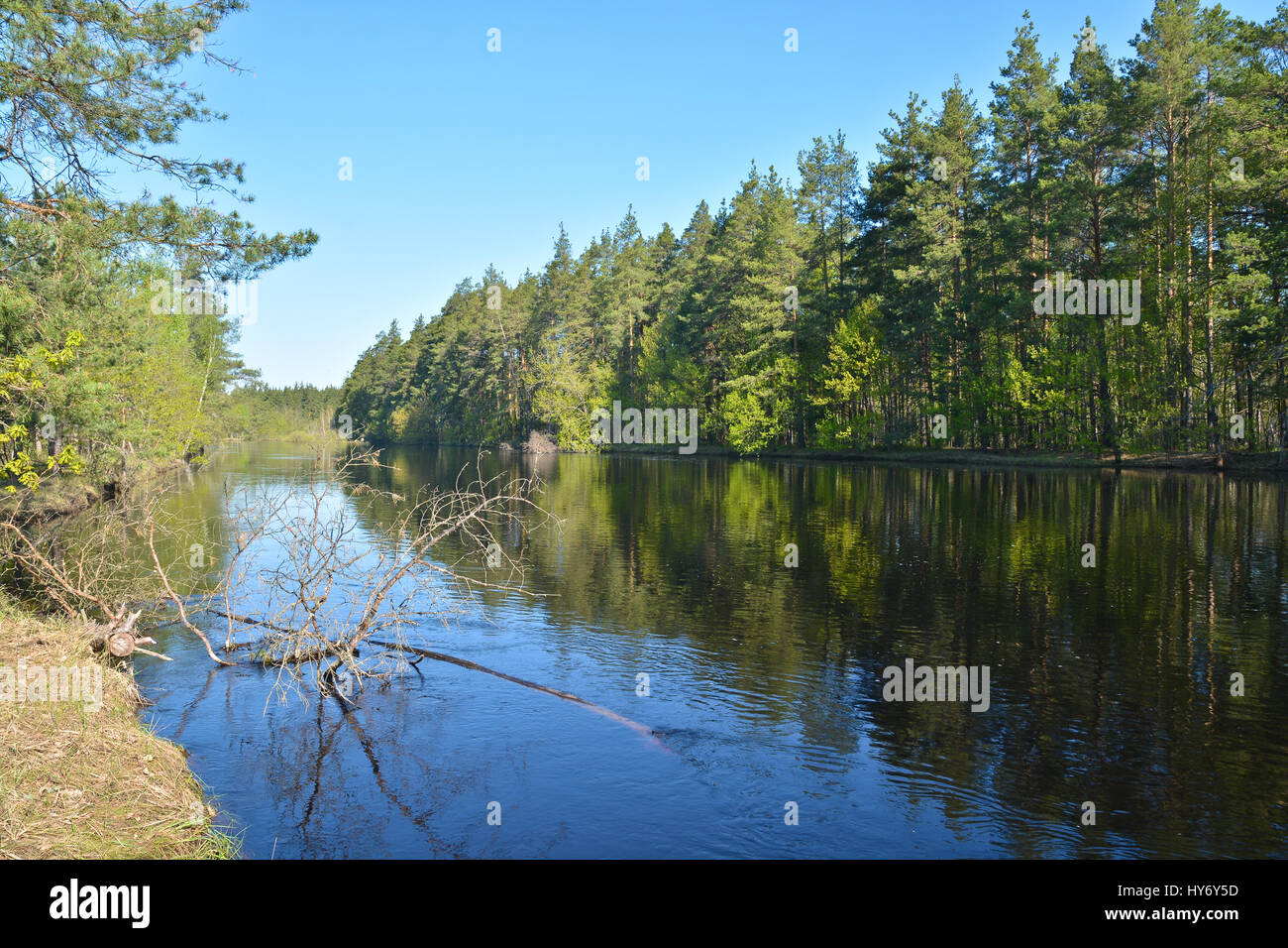Spring river in the national Park of Central Russia. Water landscape on ...
