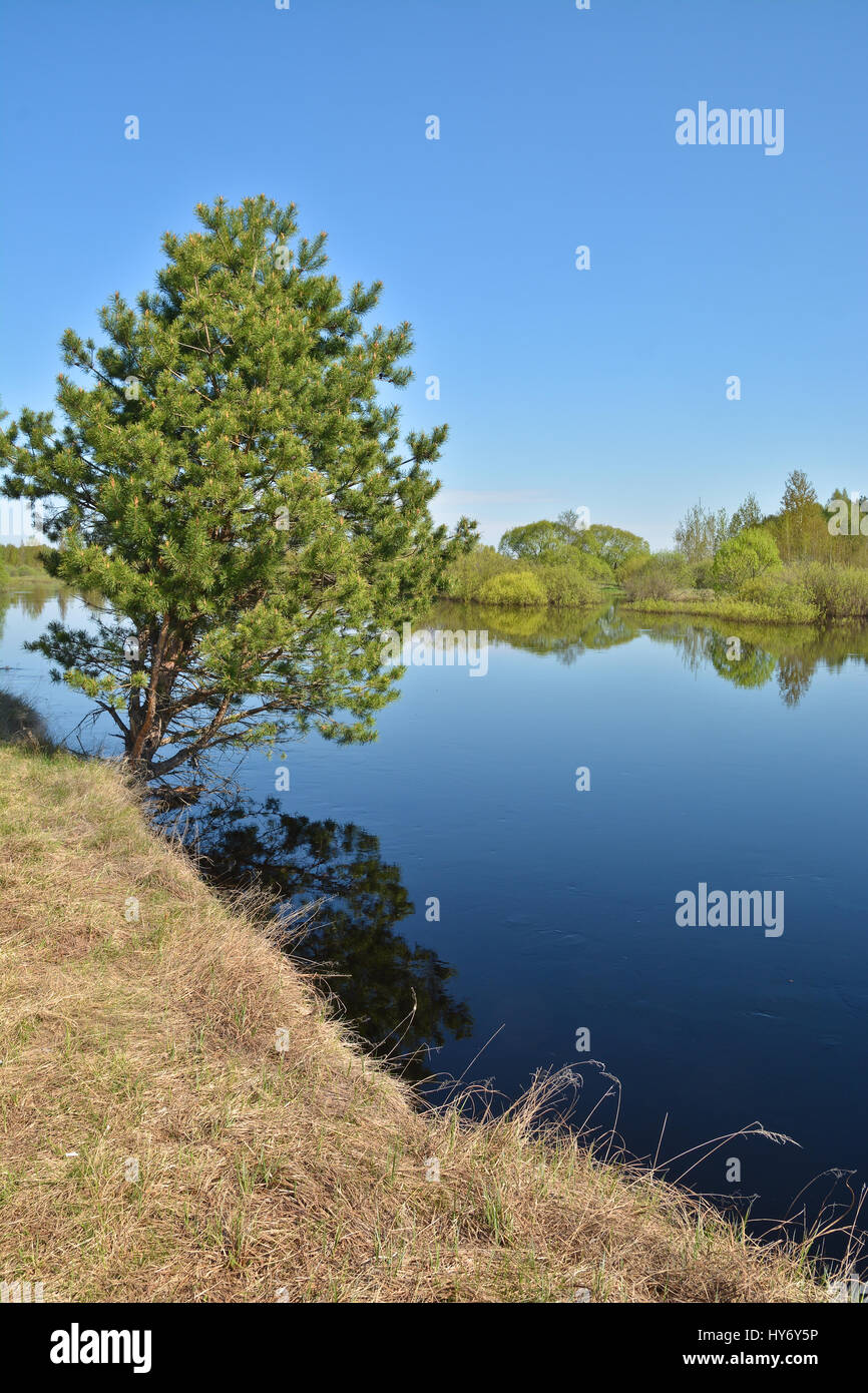 Spring river in the national Park of Central Russia. Water landscape on ...